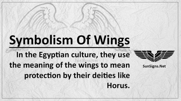 Wing Symbols The Sacred Symbol Of The Angelic Beings Zodiac Signs 101